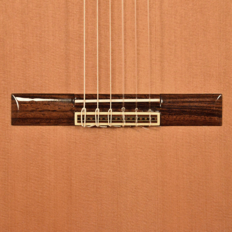Altamira L'Orfeo Classical Guitar. Cedar & Madagascar Rosewood. - Los ...
